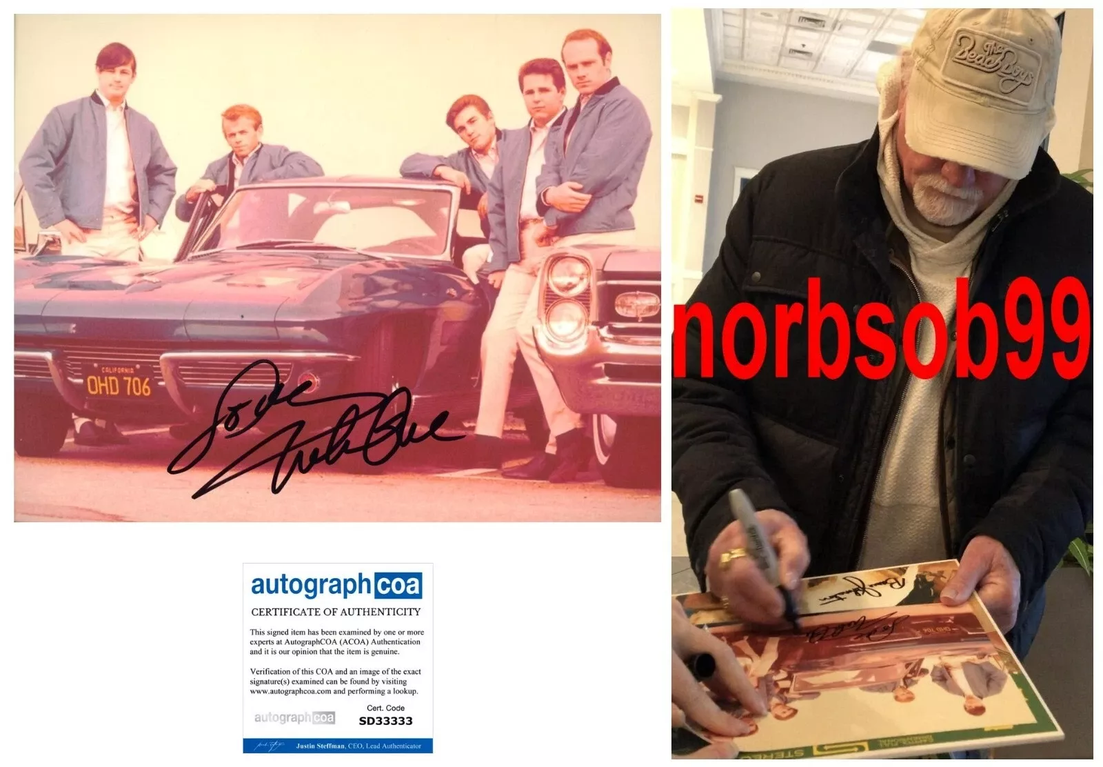 MIKE LOVE SIGNED THE BEACH BOYS 8x10 PHOTO A w/EXACT VIDEO PROOF ...
