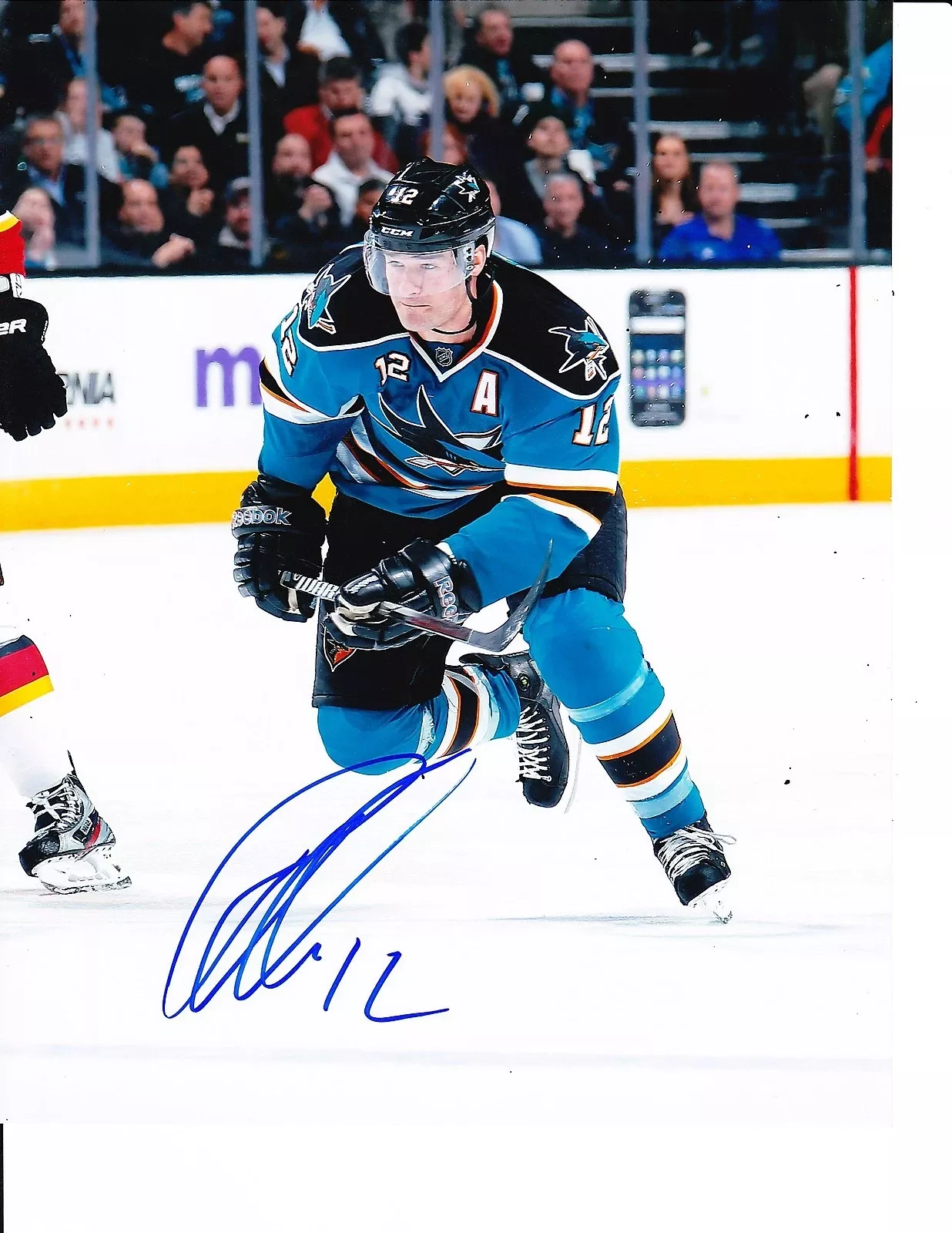 SAN JOSE SHARKS PATRICK MARLEAU SIGNED CHASING 8X10 Collectible ...
