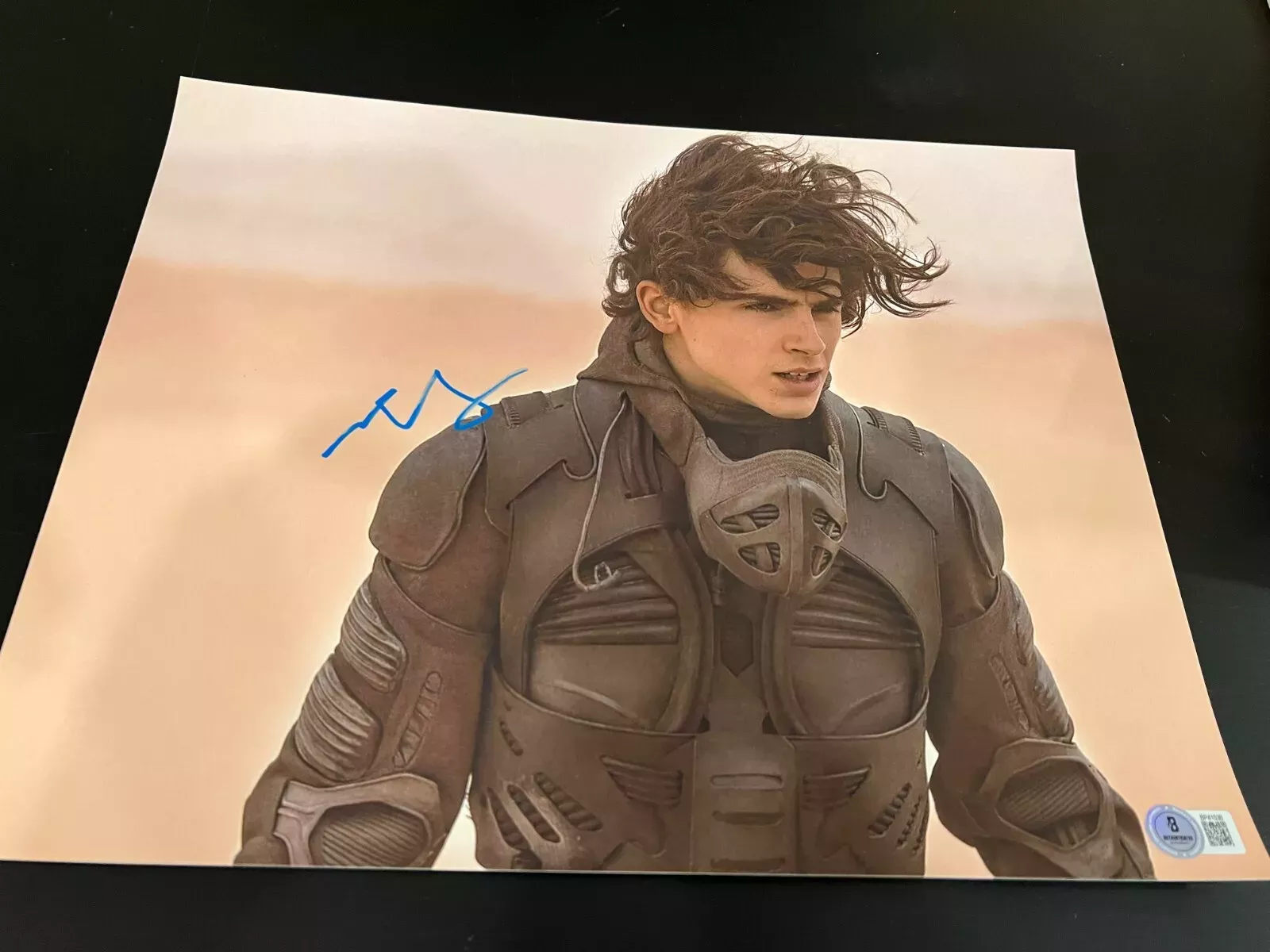 TIMOTHEE CHALAMET SIGNED AUTOGRAPH 11x14 PHOTO DUNE ZENDAYA BECKETT BAS ...